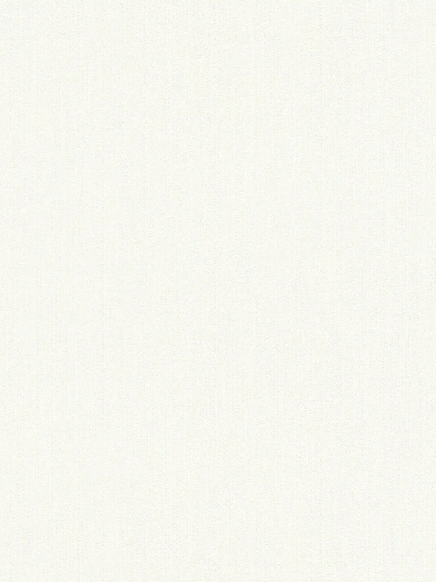 A.S. Création Wallpaper Shades of White