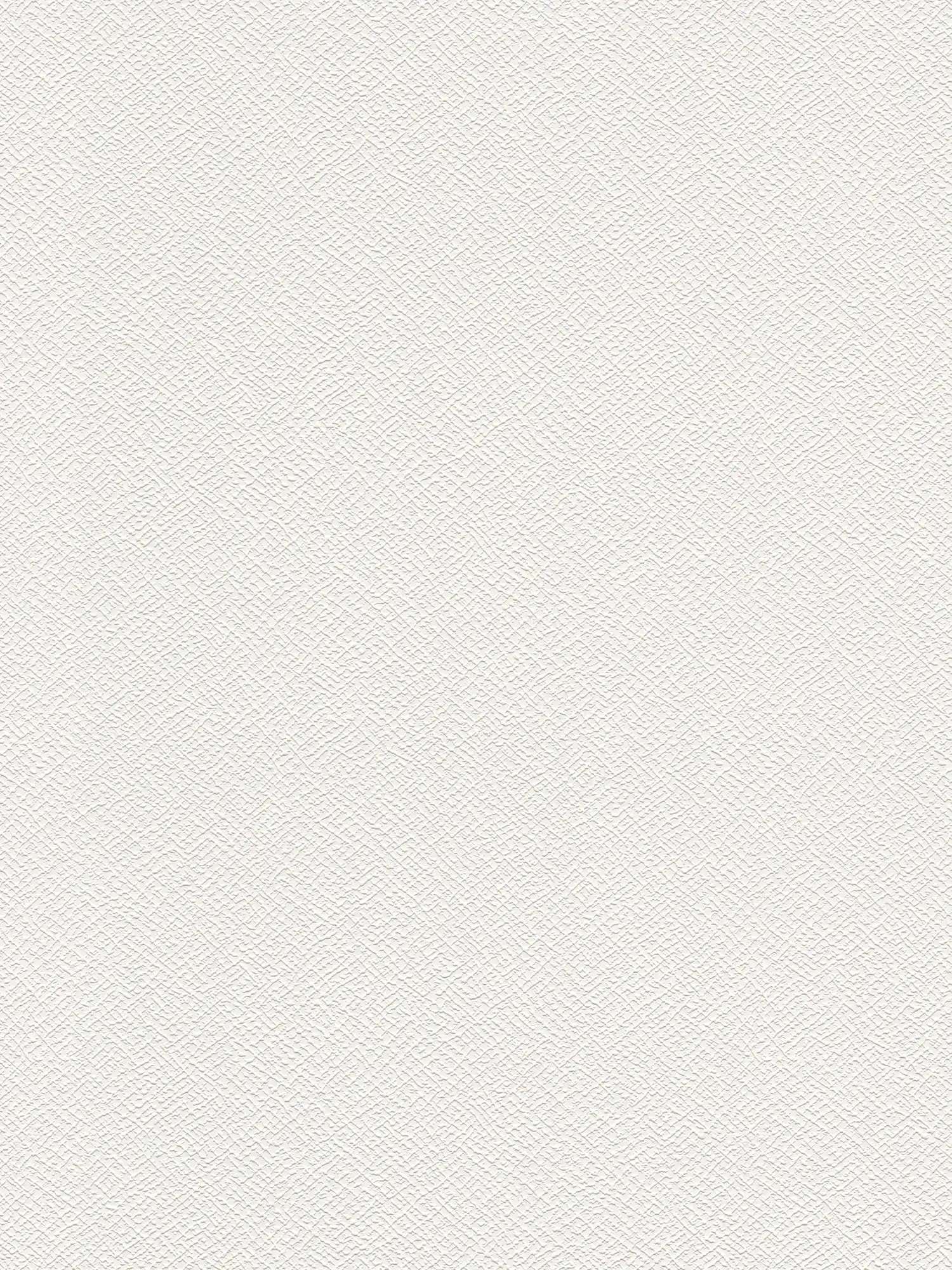 A.S. Création Wallpaper Meistervlies Create